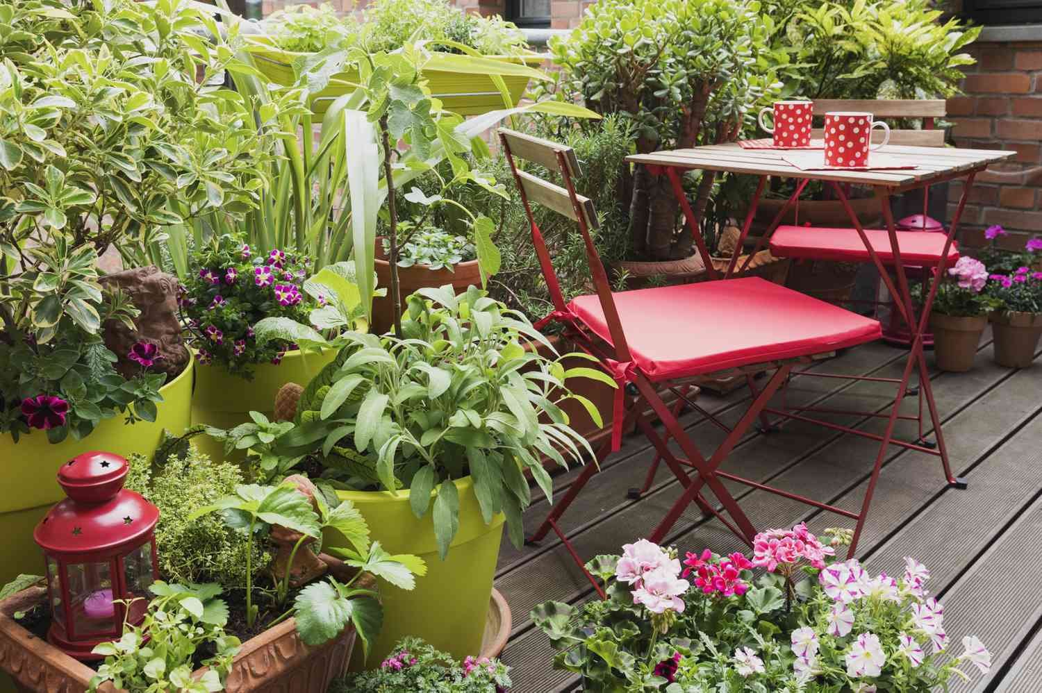 Outdoor Potted Plants: 5 Secrets for Lush Balcony Gardens